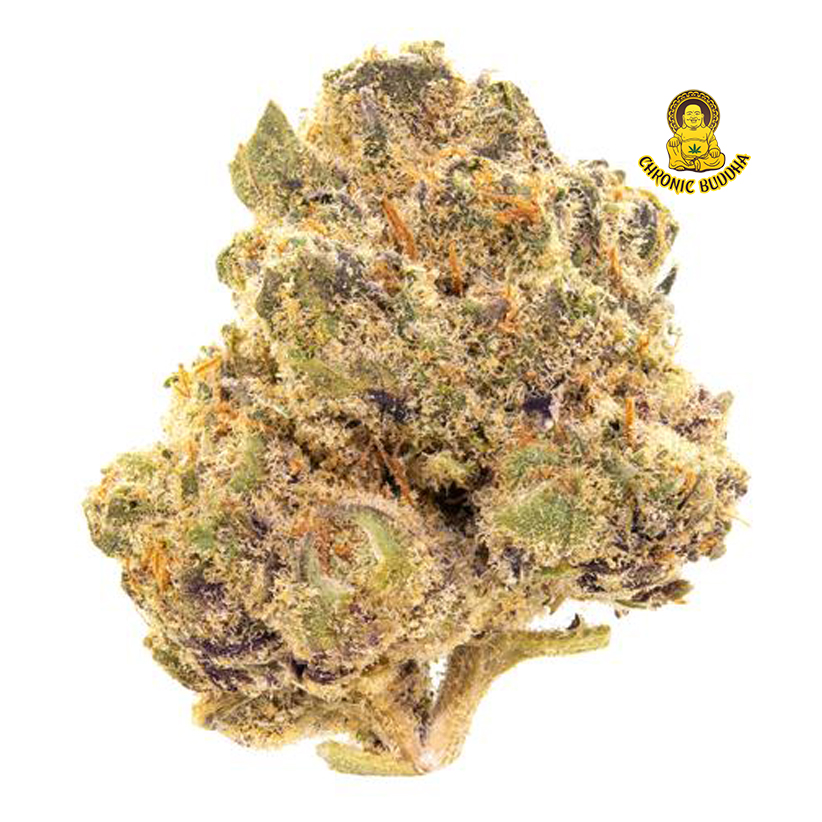 Supreme Banana Gorilla - Nyccurbside